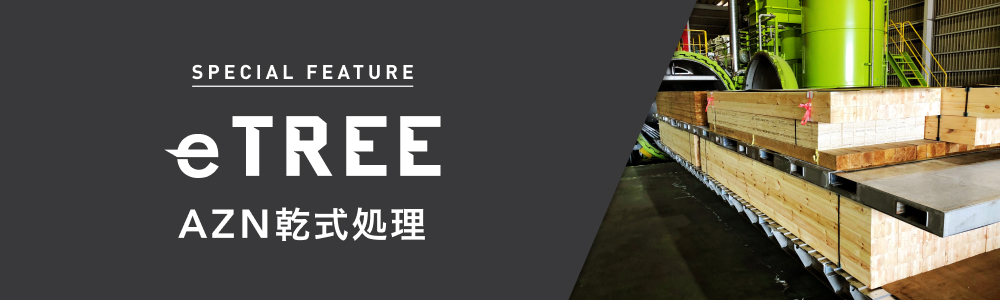 木の家に、安心して長く住むためのシロアリ対策について紹介！ - eTREE